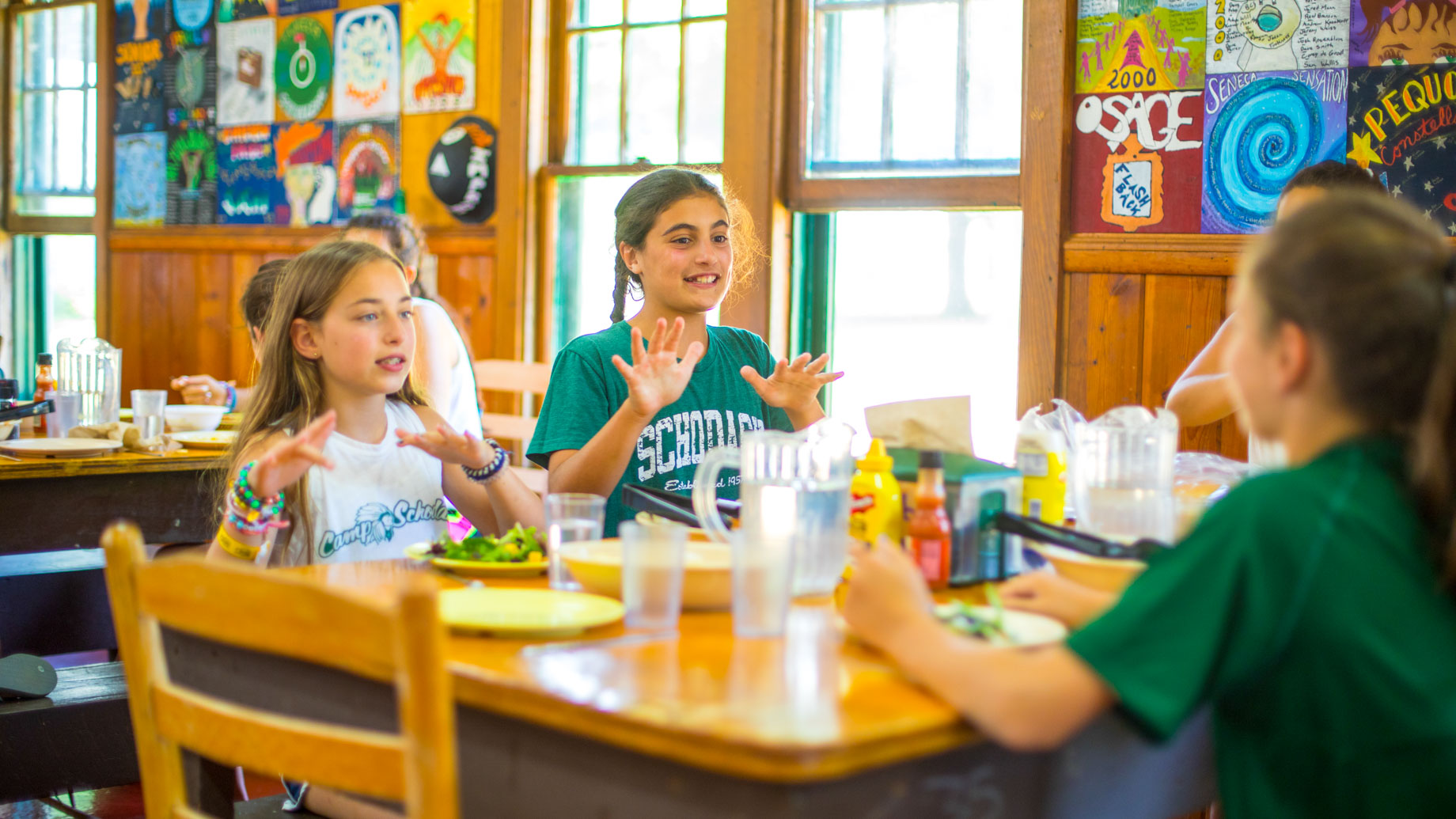 10 Reasons to be Excited for Summer 2019!!! - Camp Schodack