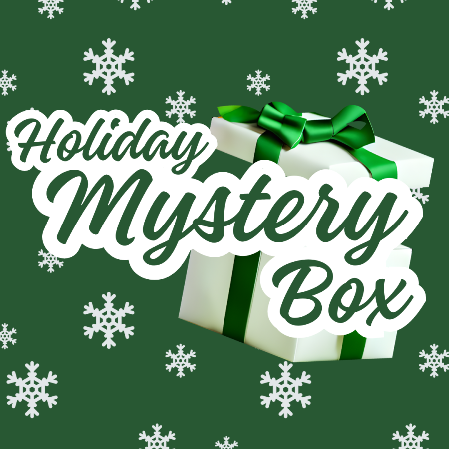 2024 Holiday Mystery Box - Camp Schodack